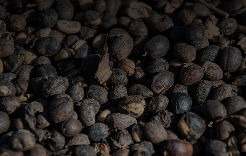 Frühstücken weltweit: was man isst und trinkt | Lavazza